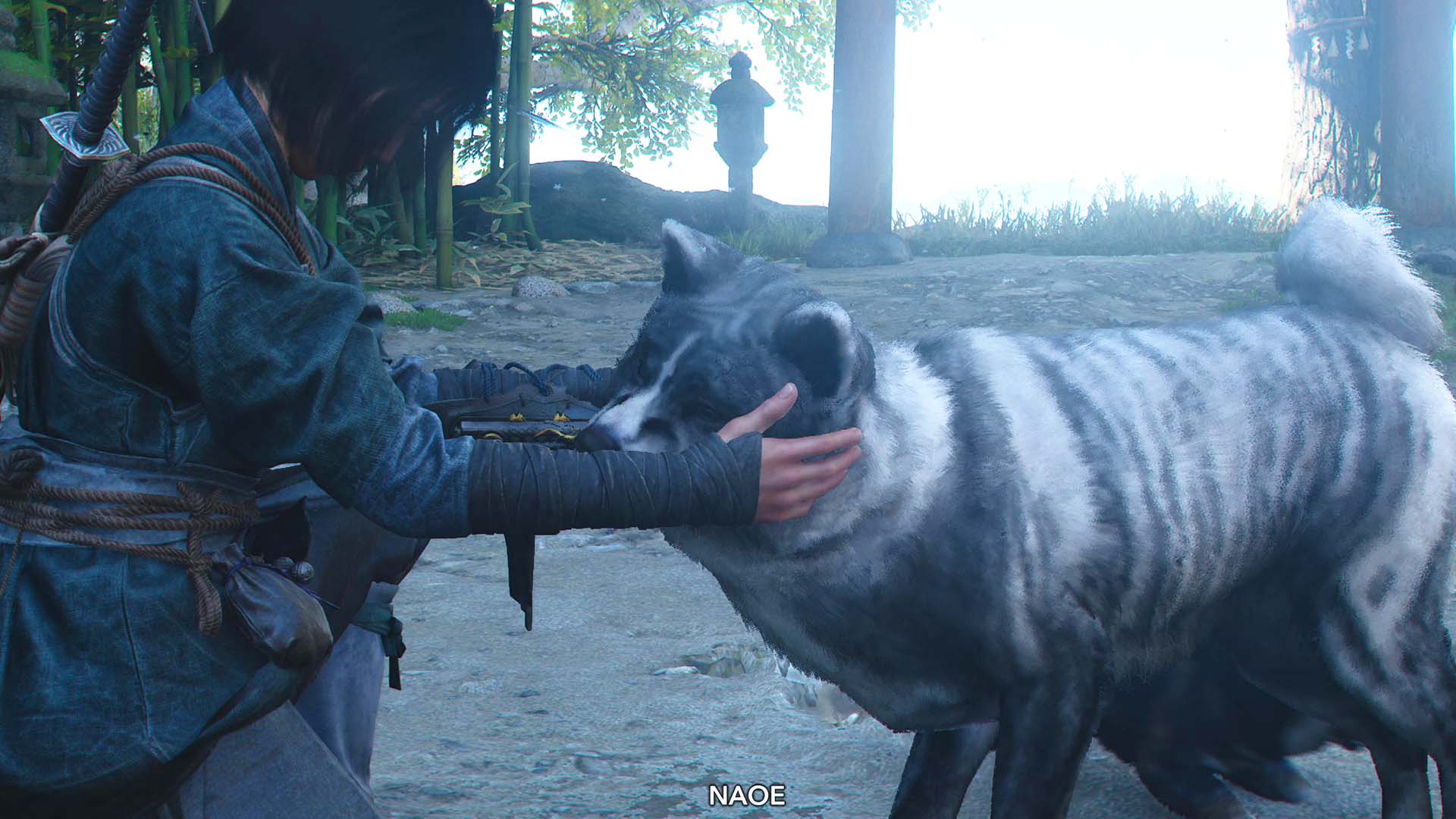 Assassin’s Creed Shadows es un juego para amantes de los animales ...